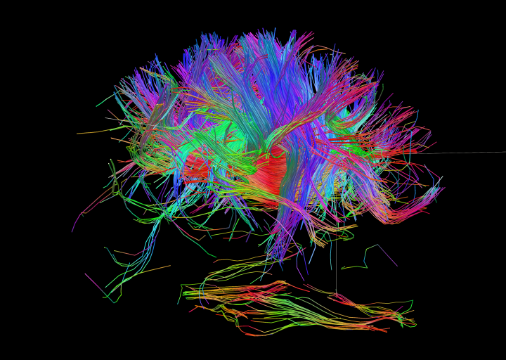 Who You Are Is How You re Wired Design Culture Mark making who-you-are-is-how-you-re-wired-design-culture-mark-making
